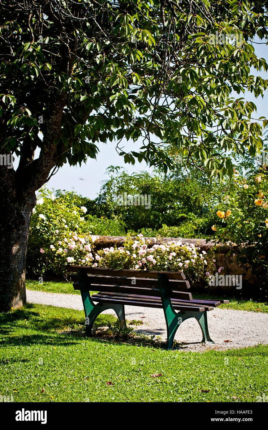 Wooden bench under the shade of a tree in summer in a quiet corner of a ...