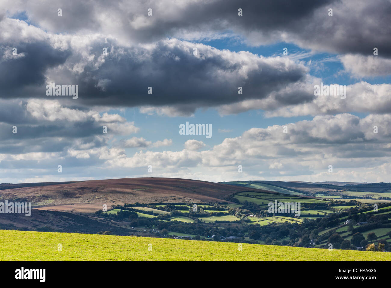 The landscape of Exmoor national park Stock Photo - Alamy