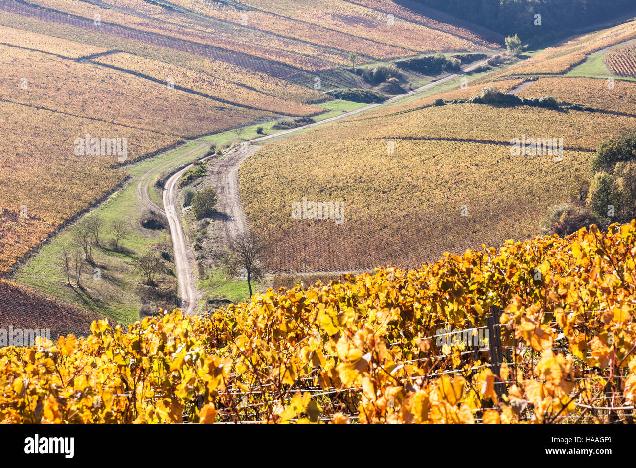 Village Of Chablis High Resolution Stock Photography and Images - Alamy