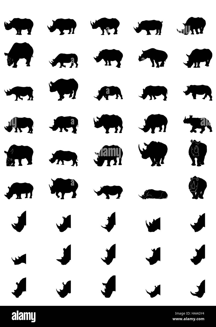 Rhinoceros rhino horn in Stock Vector Images - Alamy