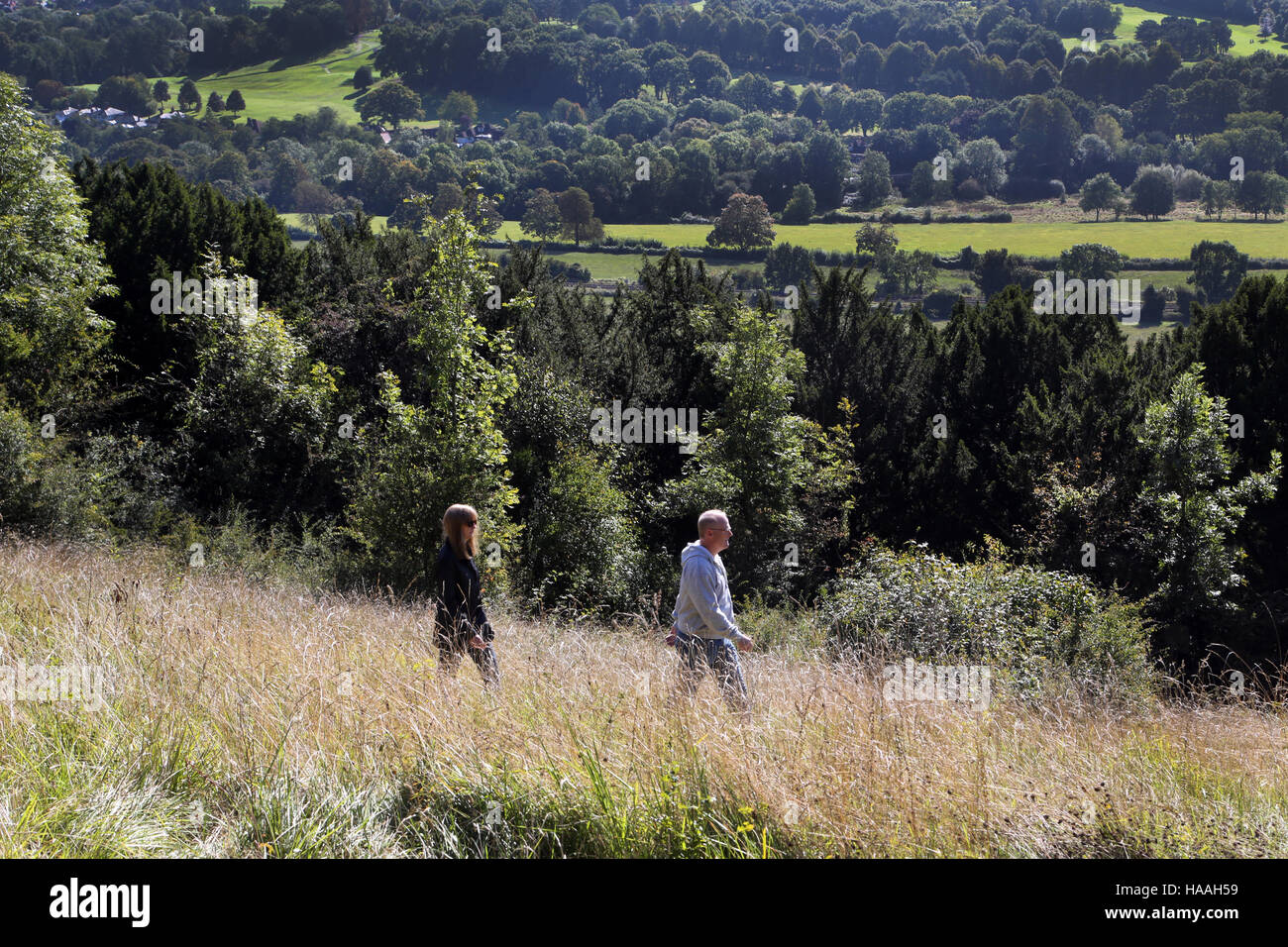 Surrey England Box Hill Couple Walking Through Countryside Stock Photo ...