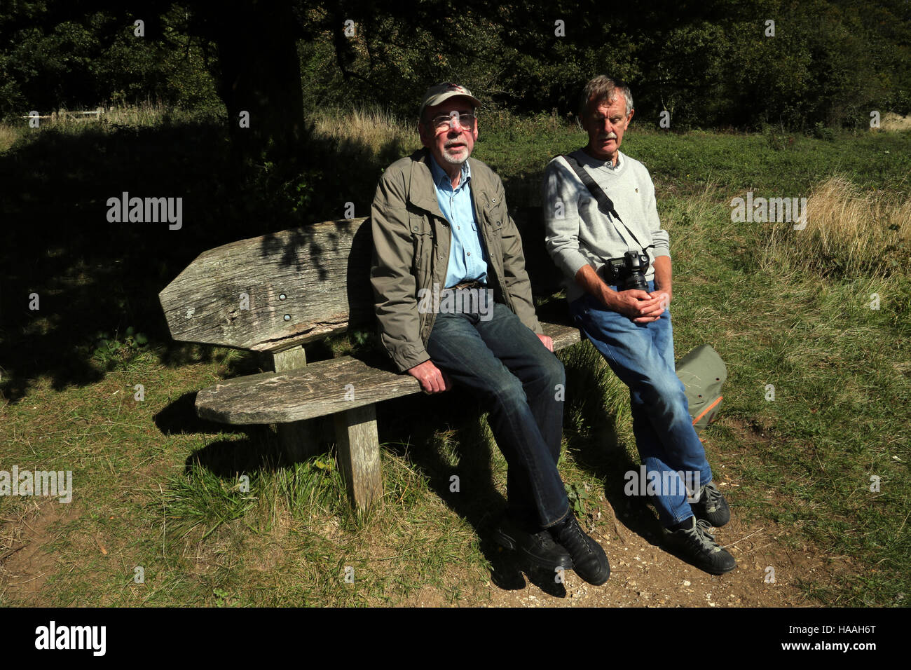 Surrey England Box Hill Two Men Sitting On Bench Talking Under Tree ...