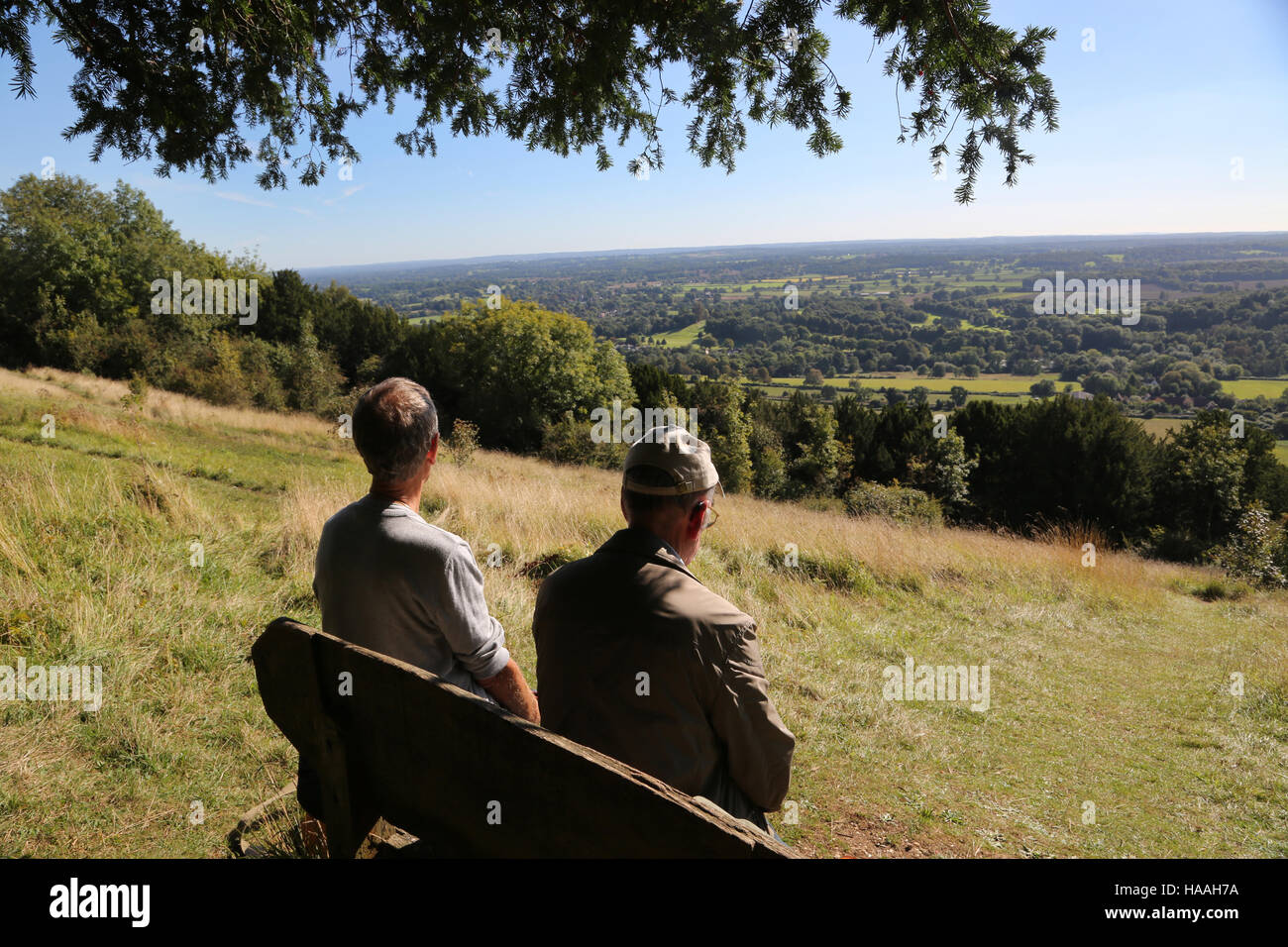 Surrey England Box Hill Two Men Sitting On Bench Talking Under Tree ...