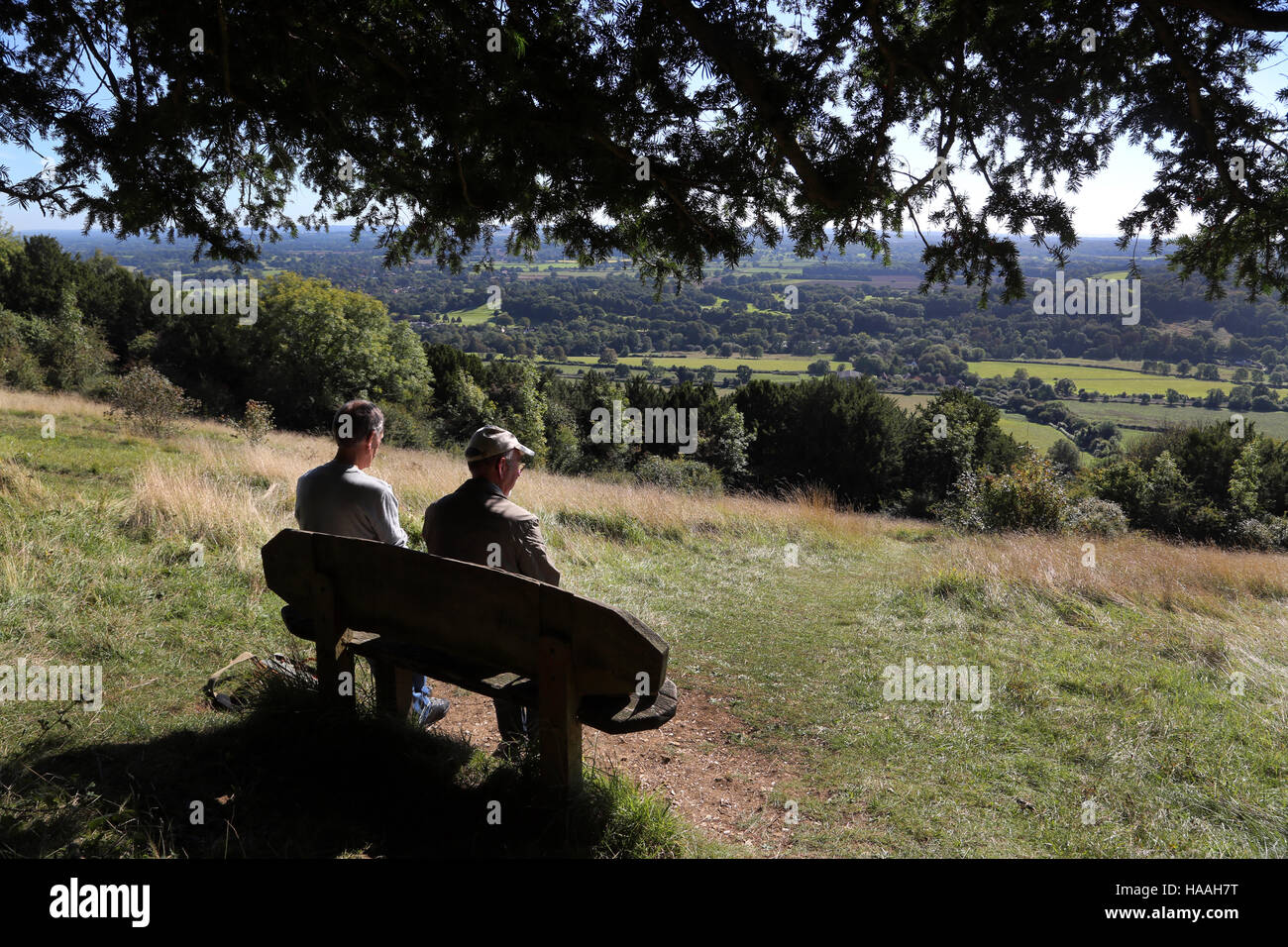 Surrey England Box Hill Two Men Sitting On Bench Talking Under Tree ...