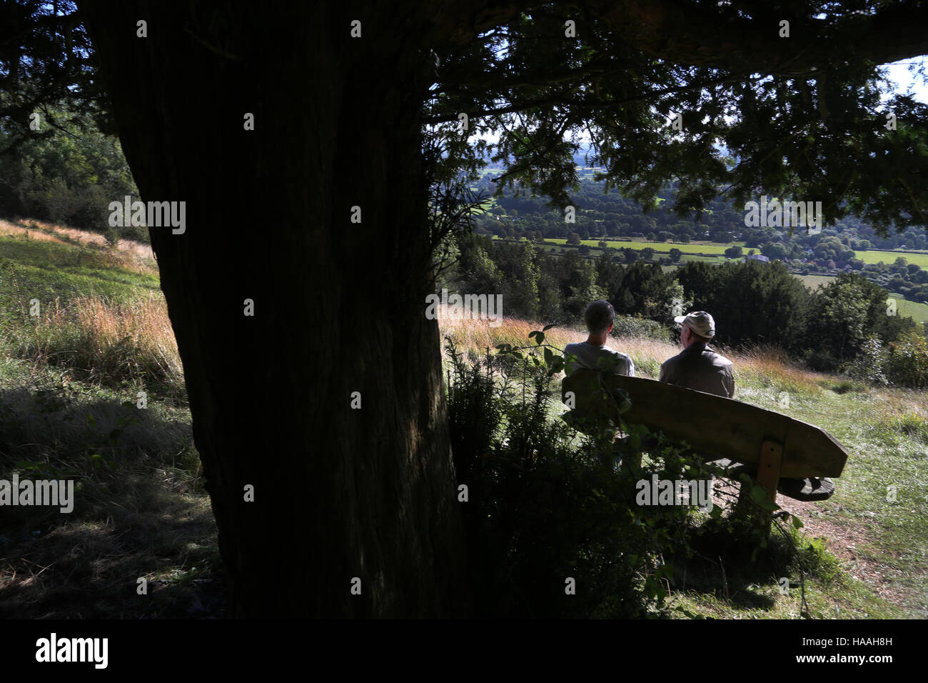 Surrey England Box Hill Two Men Sitting On Bench Talking Under Tree ...