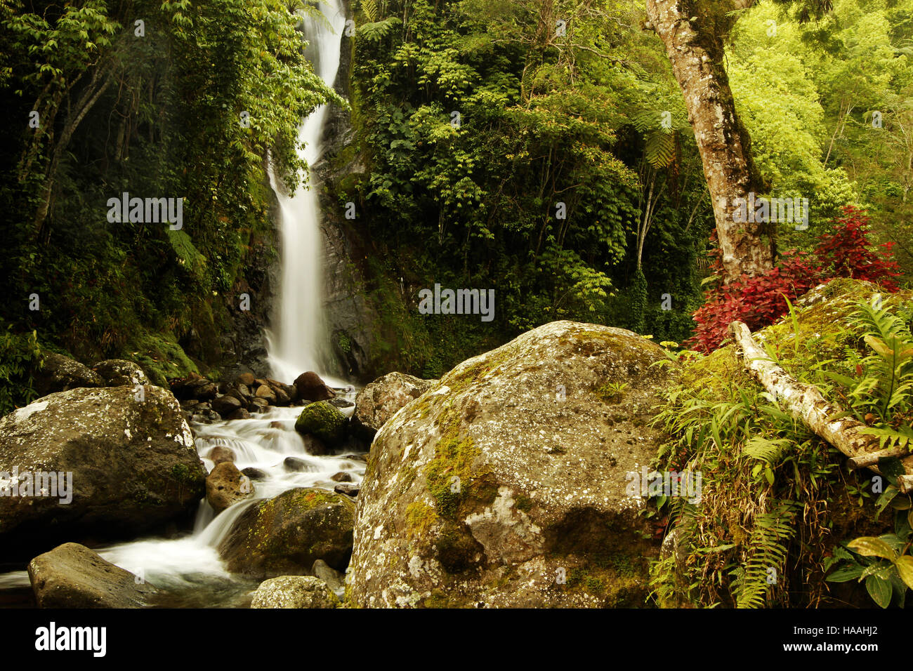 Manobo Philippines High Resolution Stock Photography and Images - Alamy