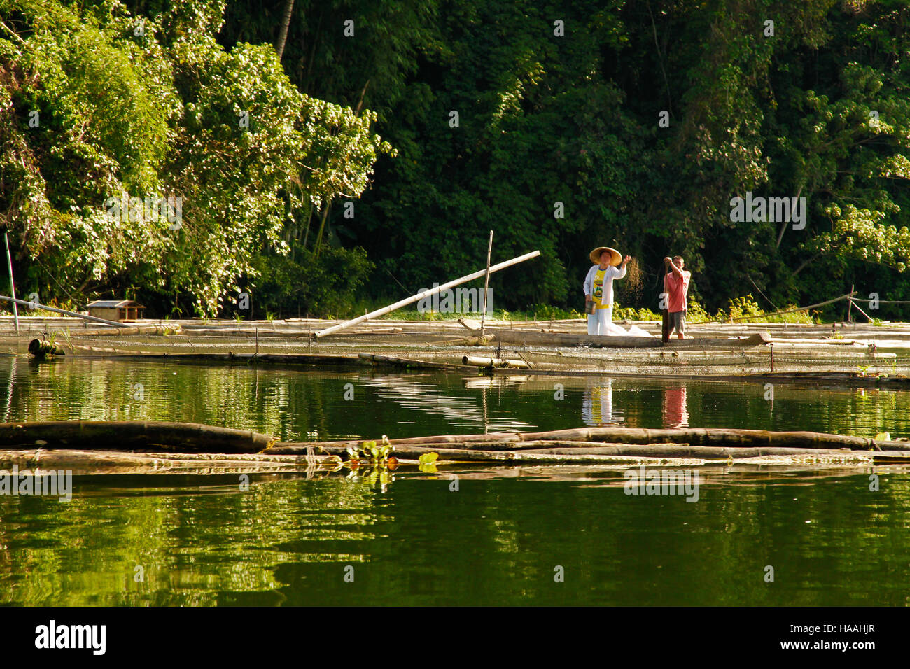 Tboli People High Resolution Stock Photography and Images - Alamy