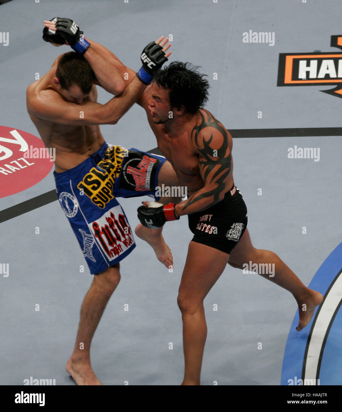 Cole Miller, blue shorts, fights Jorge Gurgel, black shorts, during UFC ...