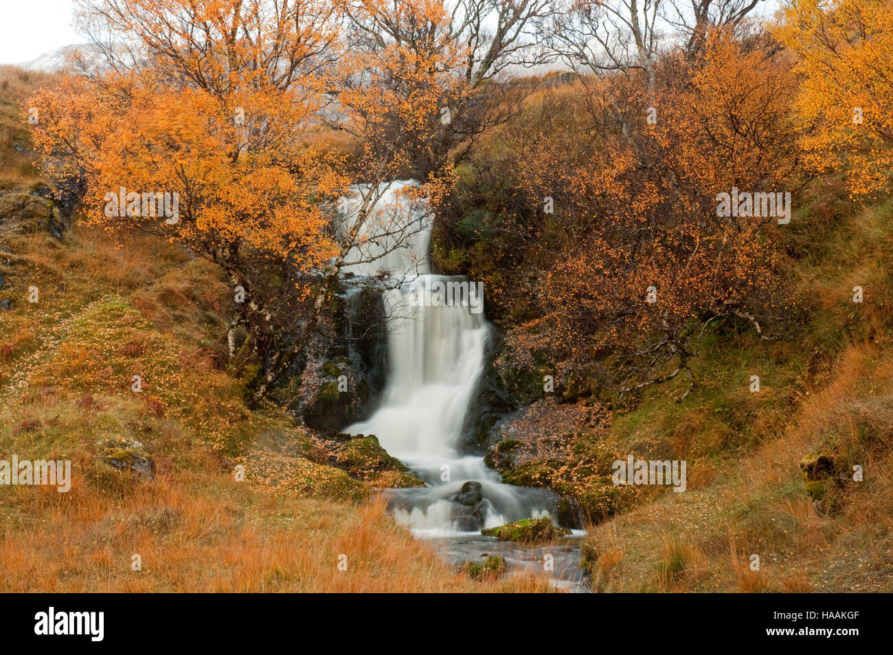 Chalda hi-res stock photography and images - Alamy