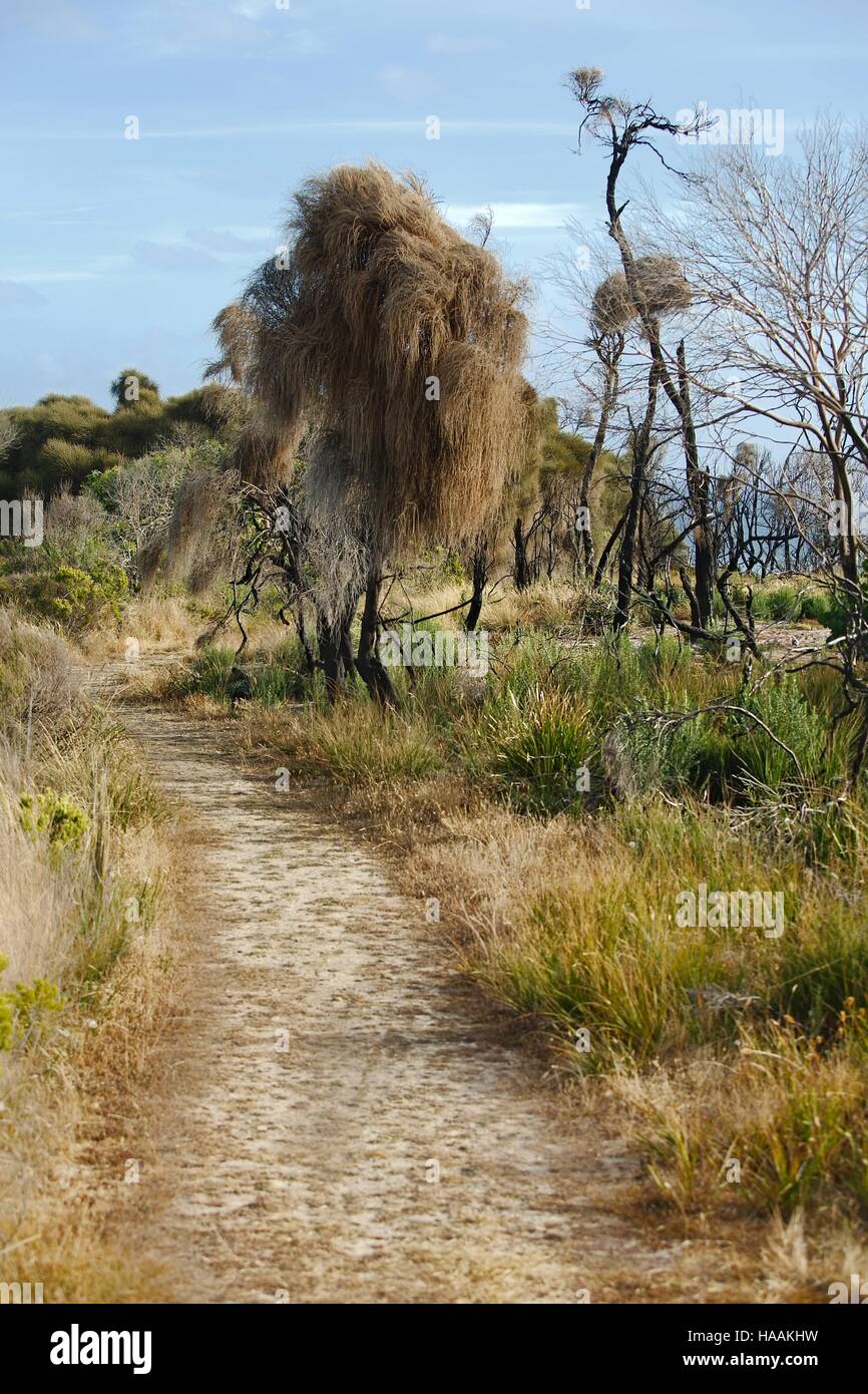 Fields of Australian wild landscape Stock Photo - Alamy