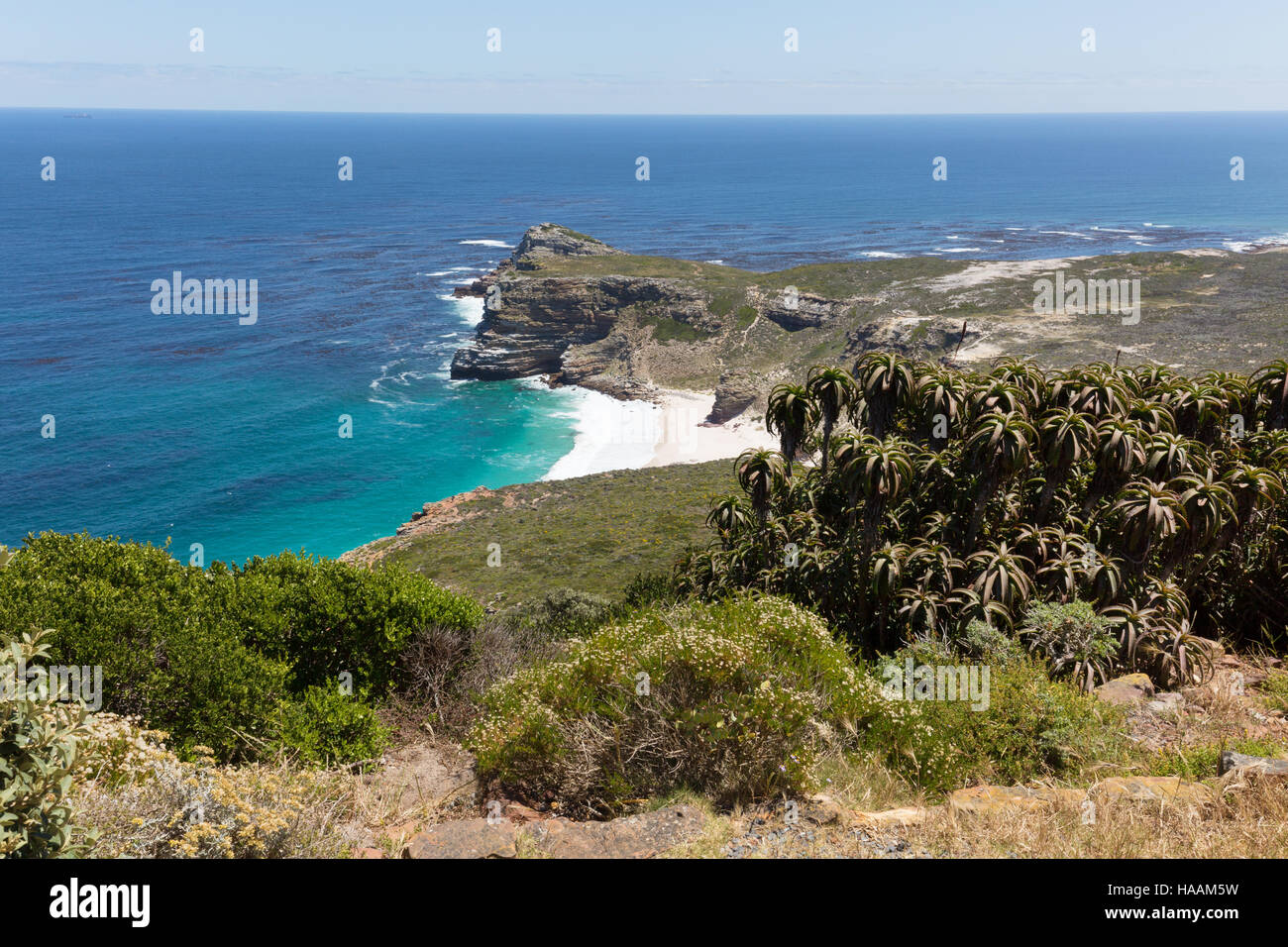 Diaz Beach, Cape Point, Cape Town, Cape Peninsula, South Africa Stock ...