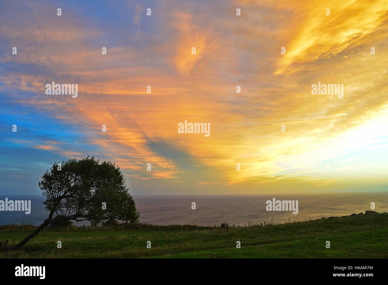 Peach sky hi-res stock photography and images - Alamy