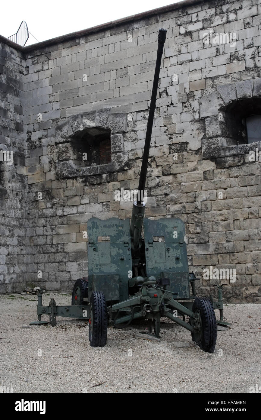 Second World War artillery. Old obsolete military weapon. Obsolete ...