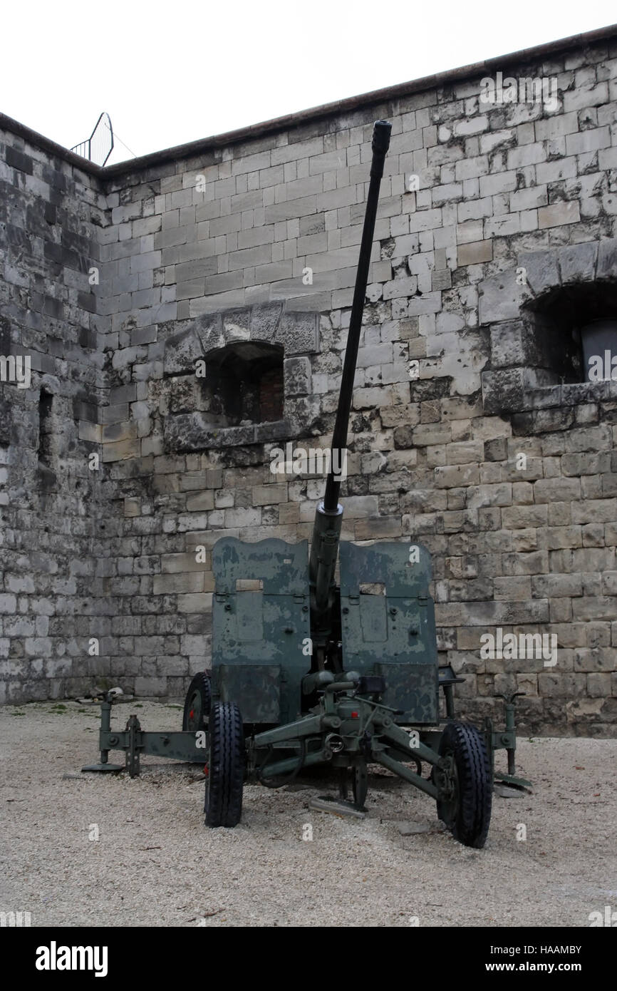 Second World War artillery. Old obsolete military weapon. Obsolete ...