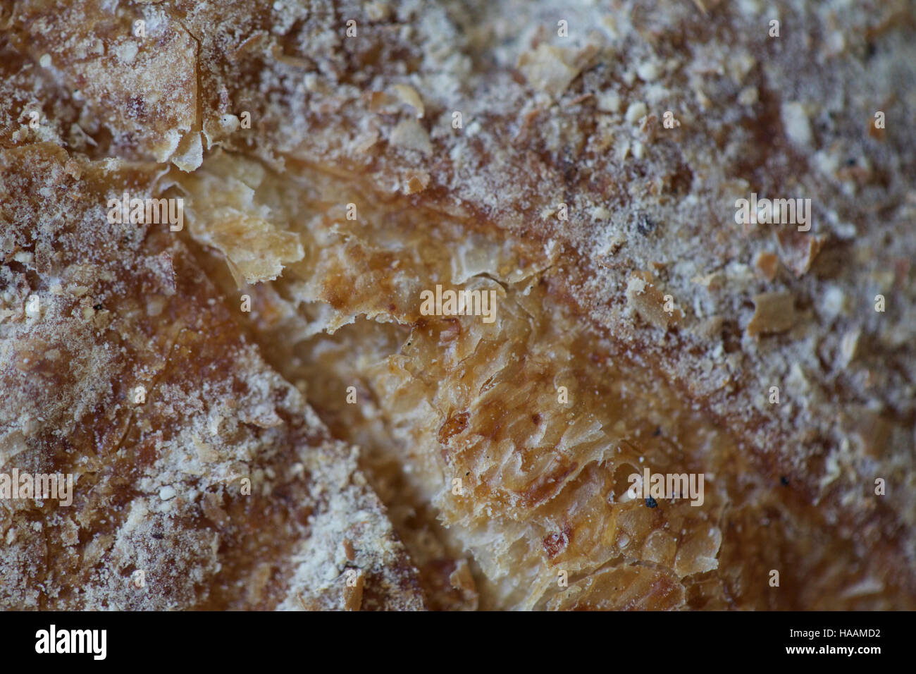Sourdough bread crust Stock Photo - Alamy