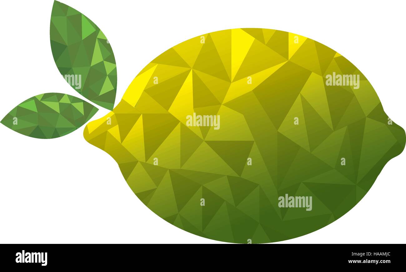 fresh fruit low poly style vector illustration design Stock Vector ...