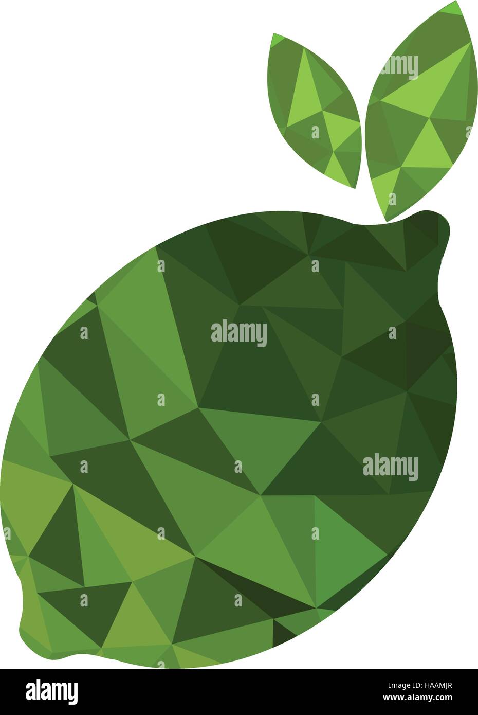 fresh fruit low poly style vector illustration design Stock Vector ...