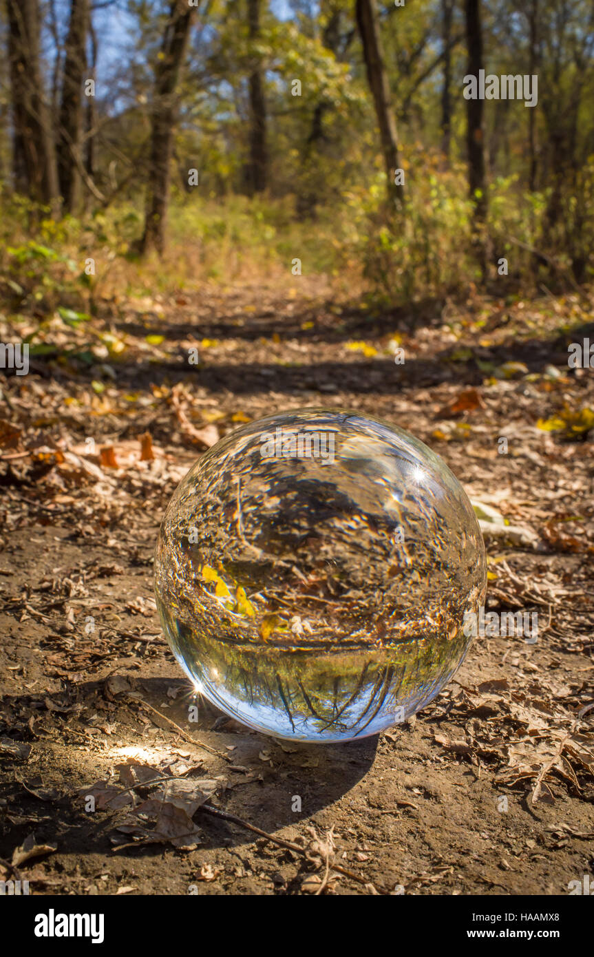 Magic crystal ball on forest floor for autumn fantasy imagery Stock ...
