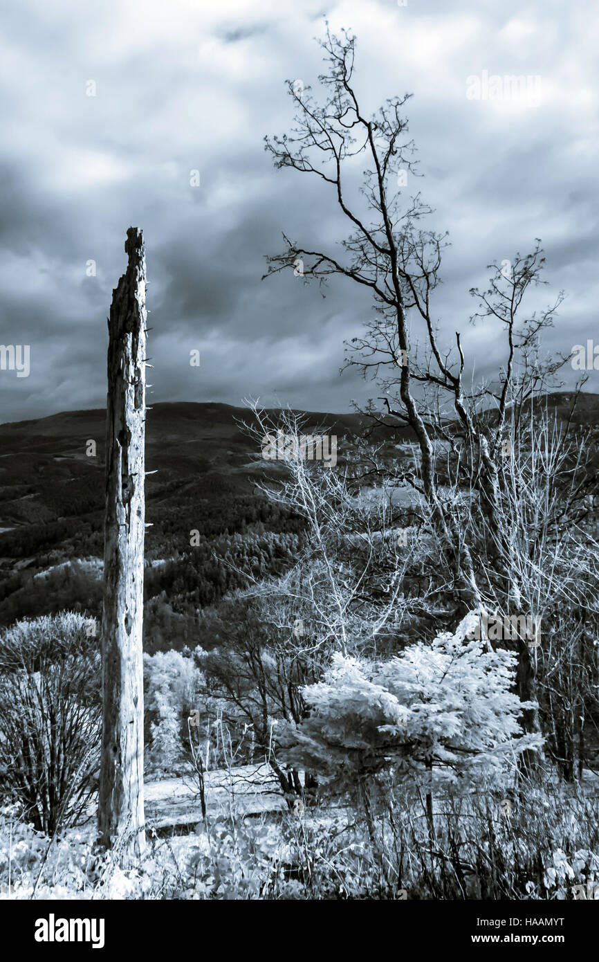 Bea Beautiful natural landscape in infrared view, Vosges mountains ...