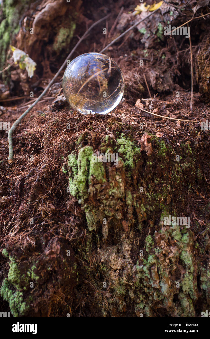 Magic crystal ball on forest floor for autumn fantasy imagery Stock ...