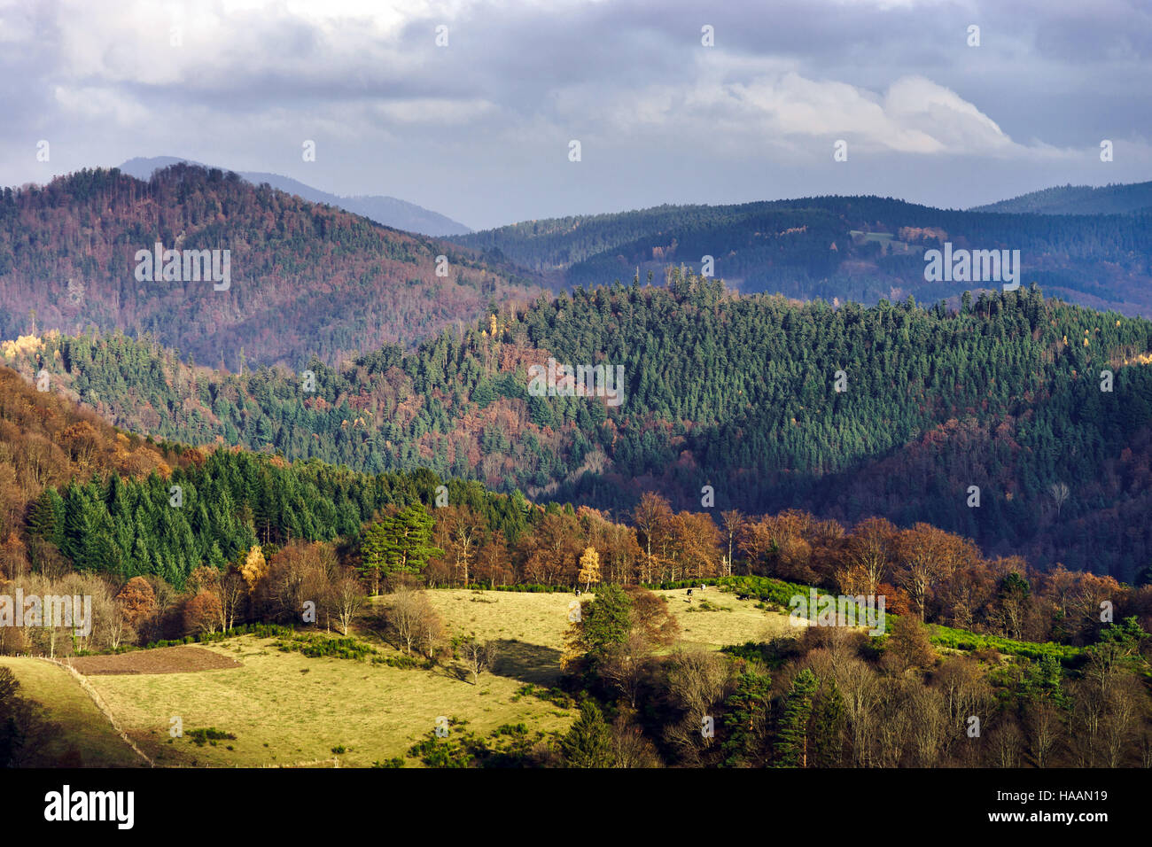 Beautiful autumn colors in mountains, landscape natural view, France ...