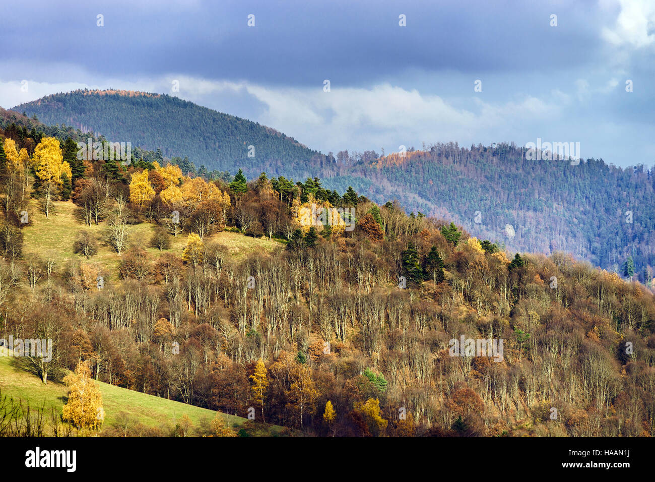 Beautiful autumn colors in mountains, landscape natural view, France ...