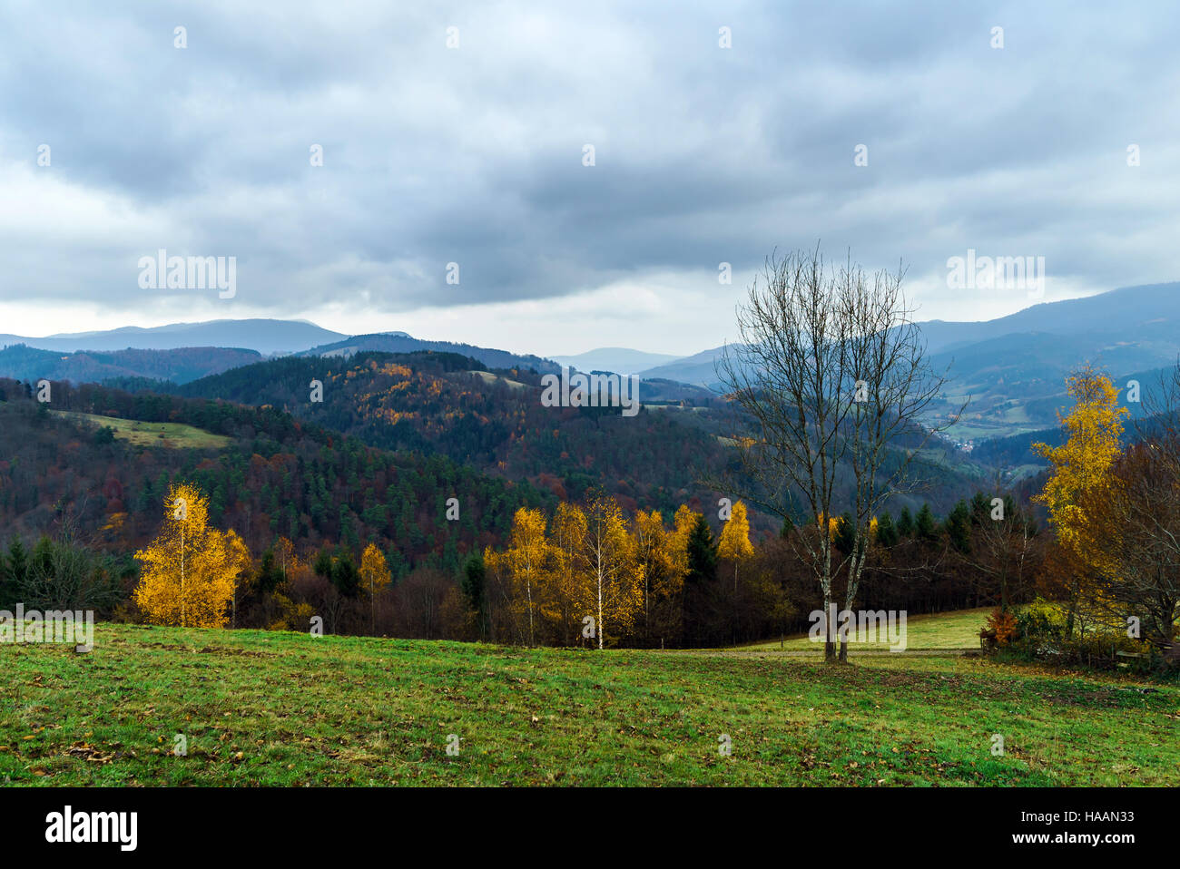 Beautiful autumn colors in mountains, landscape natural view, France ...