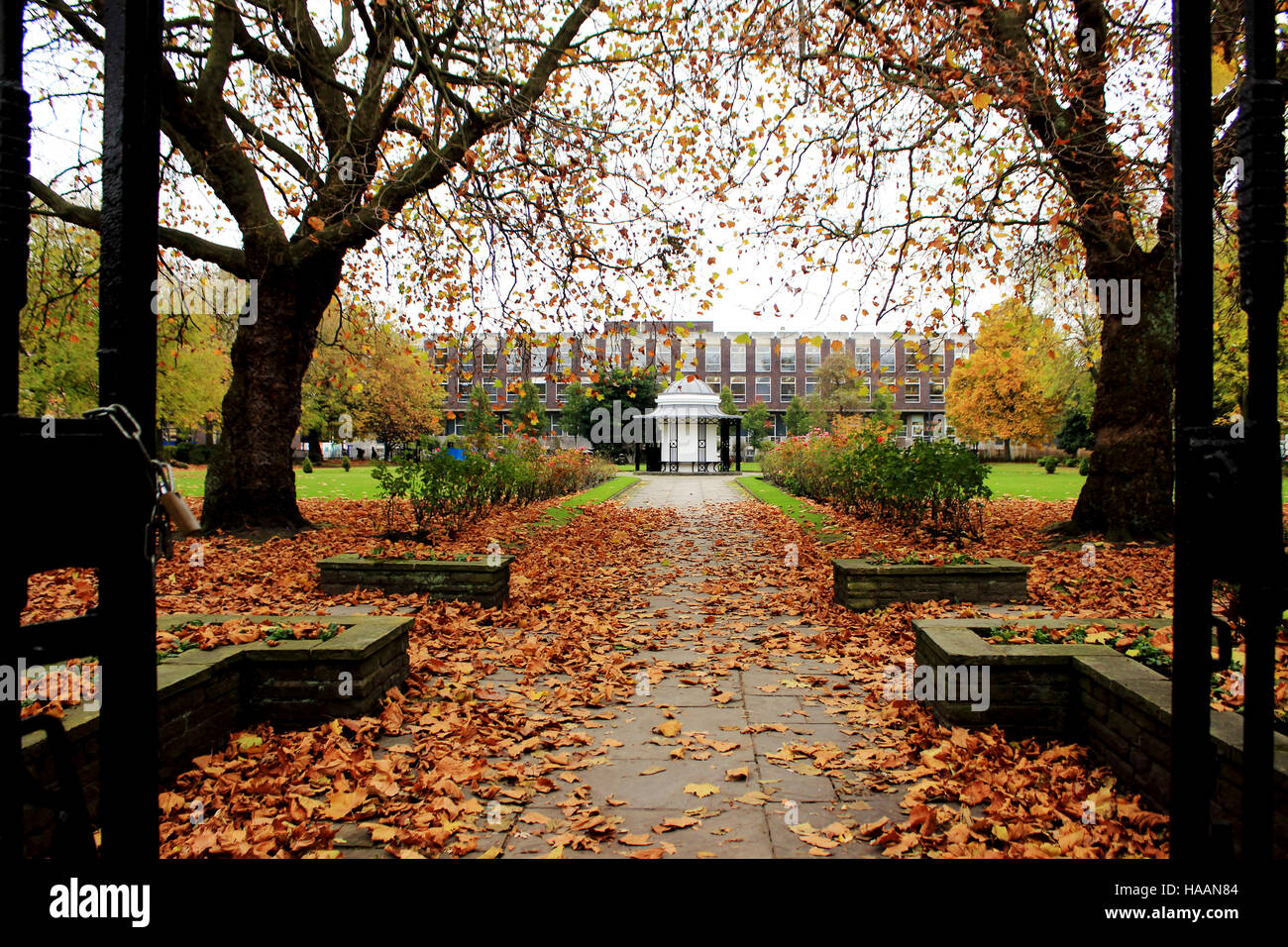 Abercromby Square Liverpool Stock Photo - Alamy