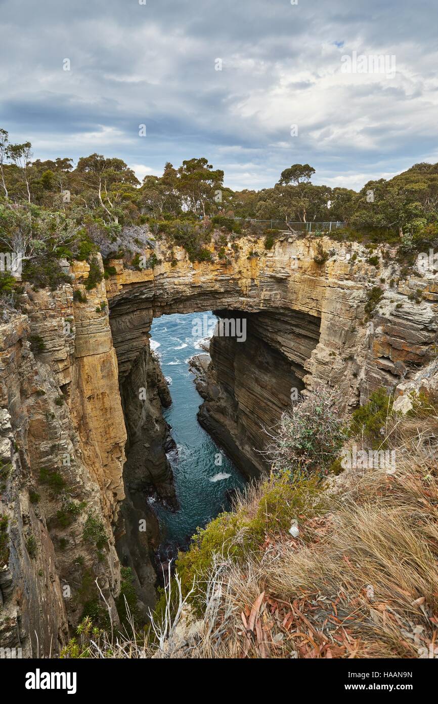 Tasman arch tasmania hi-res stock photography and images - Alamy