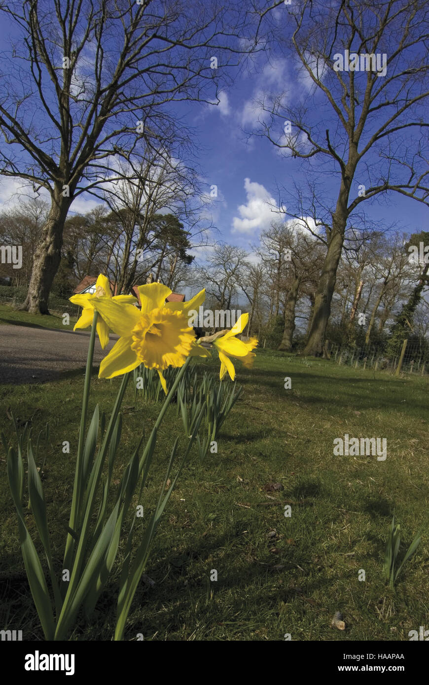 countryside, england, english, landscape, footpath, uk, district, rural ...