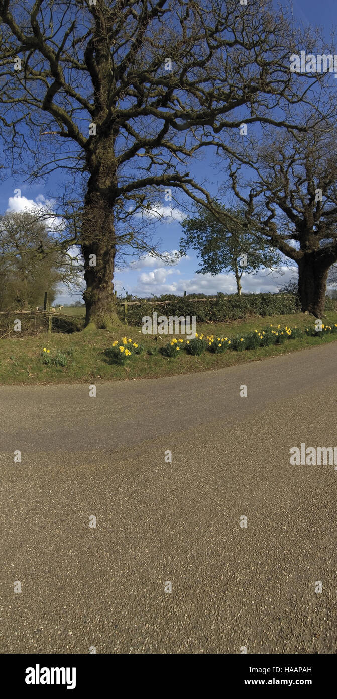 countryside, england, english, landscape, footpath, uk, district, rural ...