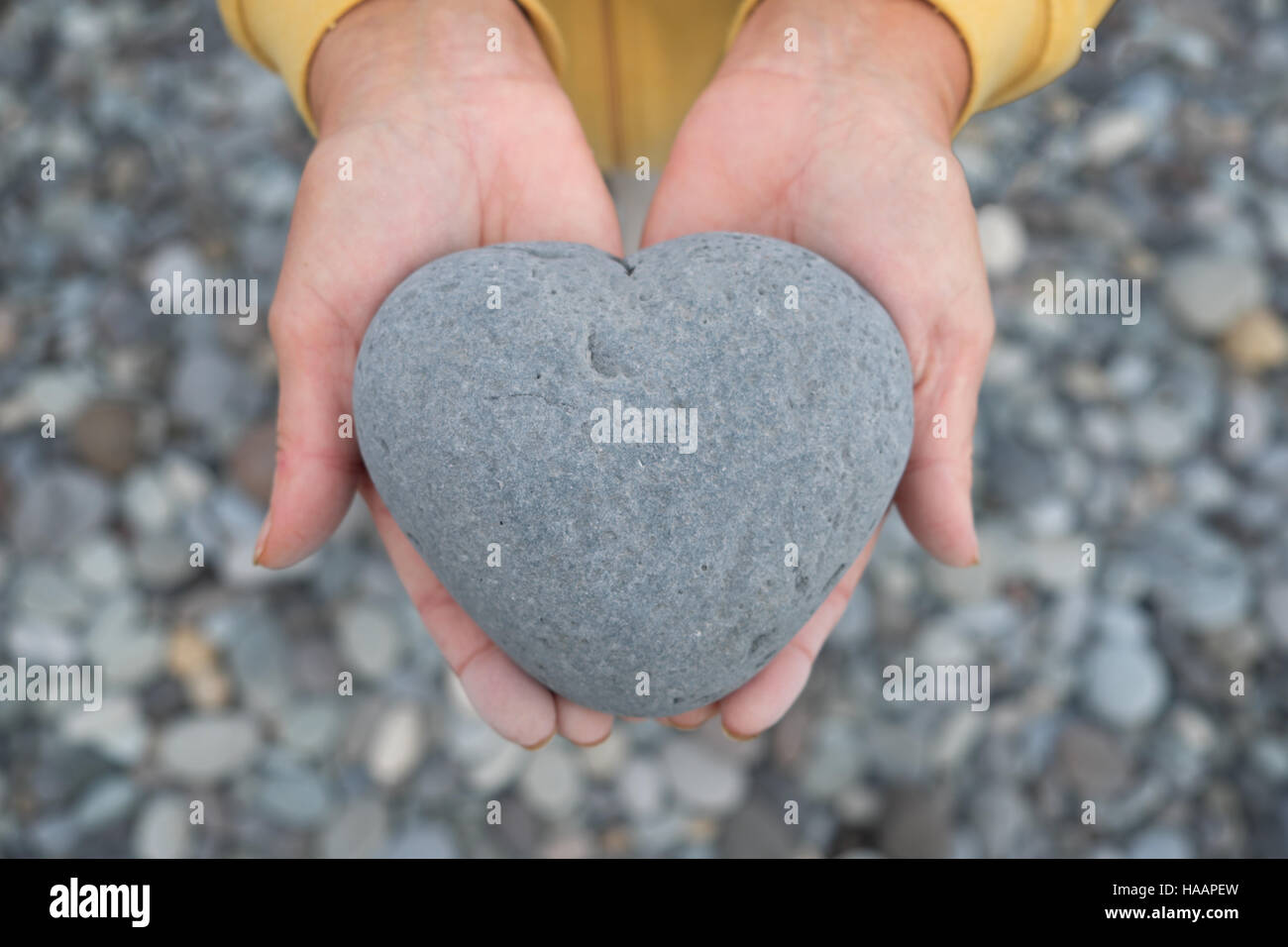 Hand holding stone beach hi-res stock photography and images - Alamy