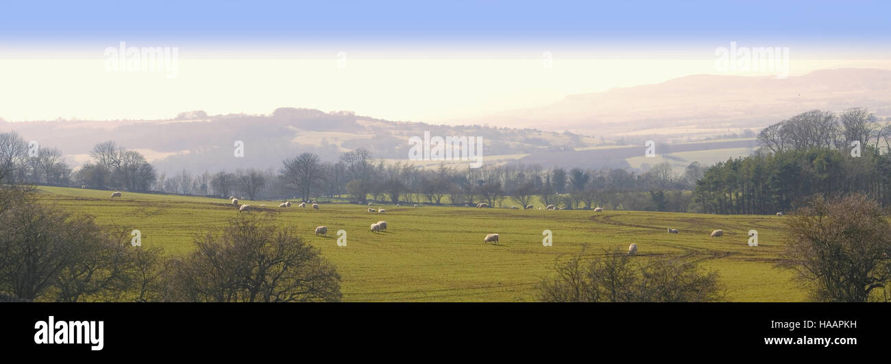 countryside, england, english, landscape, footpath, uk, district, rural ...