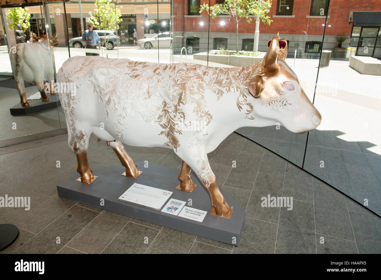 CowParade - Perth - Australia Stock Photo - Alamy