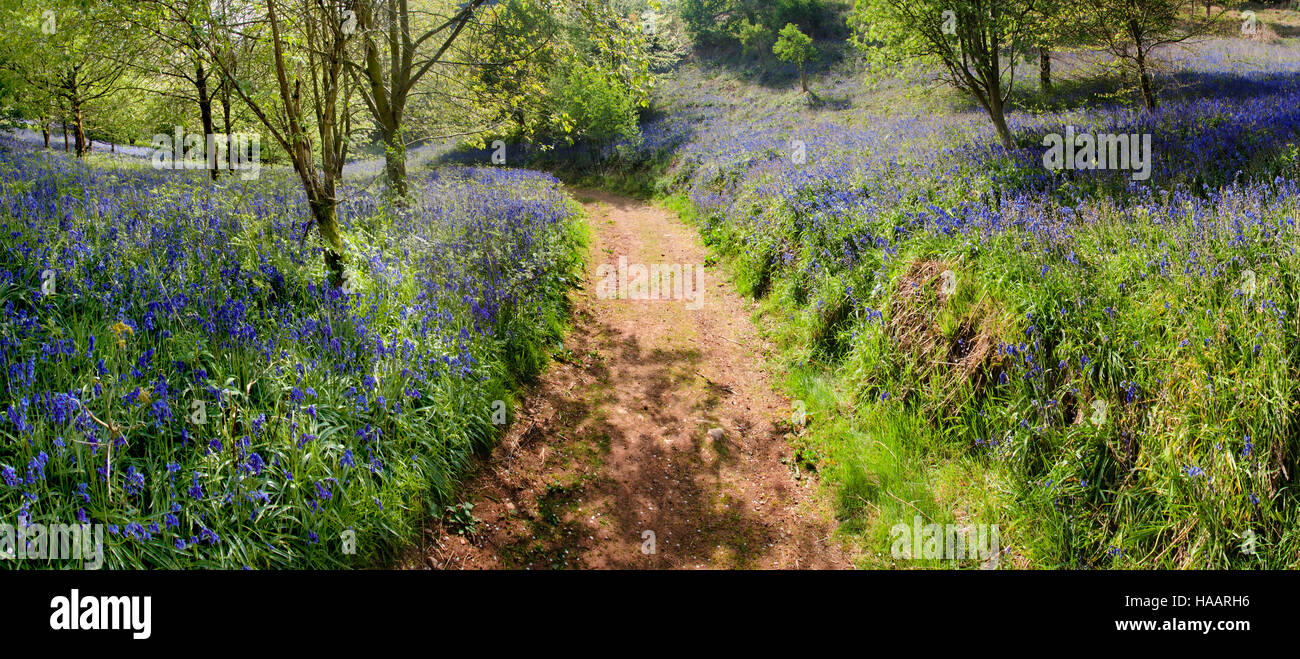 countryside, england, english, landscape, footpath, uk, district, rural ...