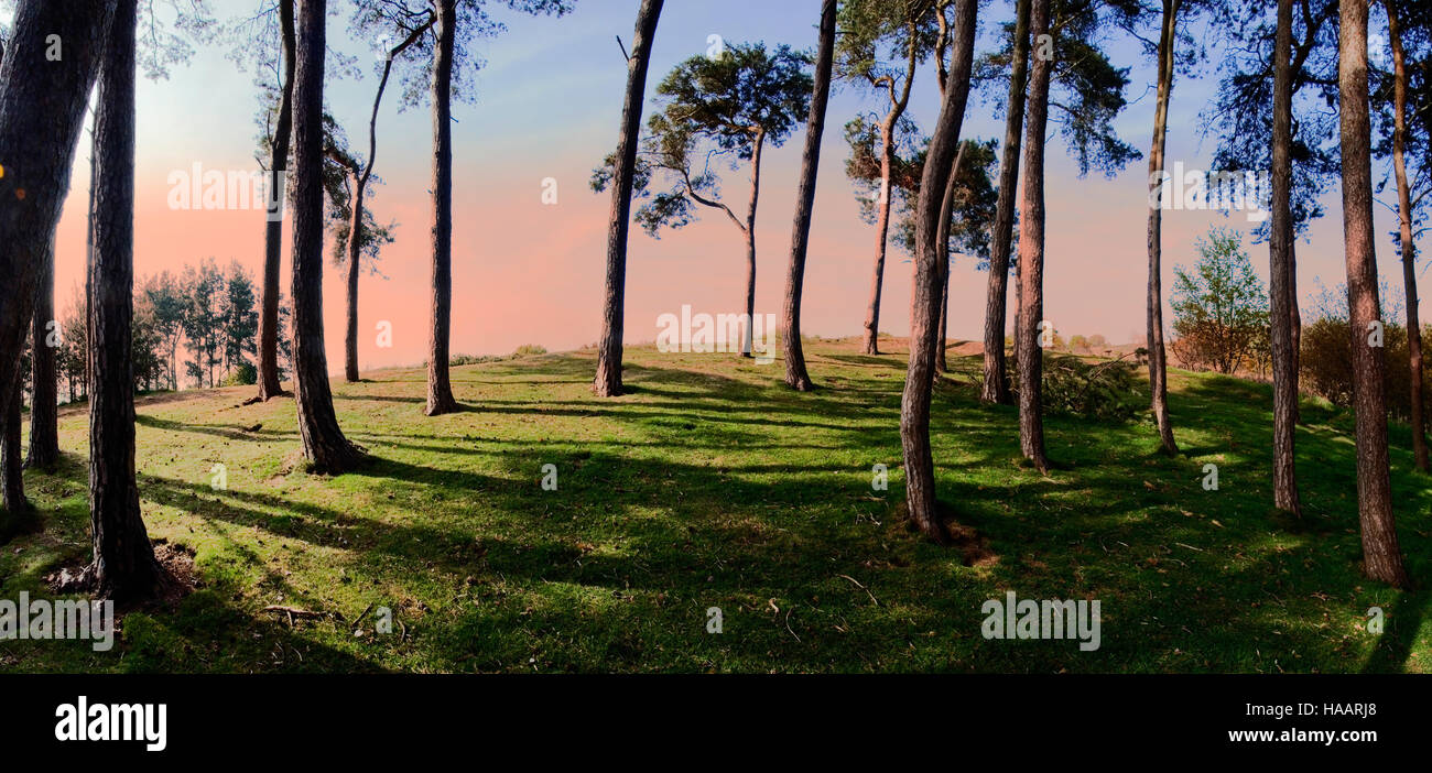 countryside, england, english, landscape, footpath, uk, district, rural ...