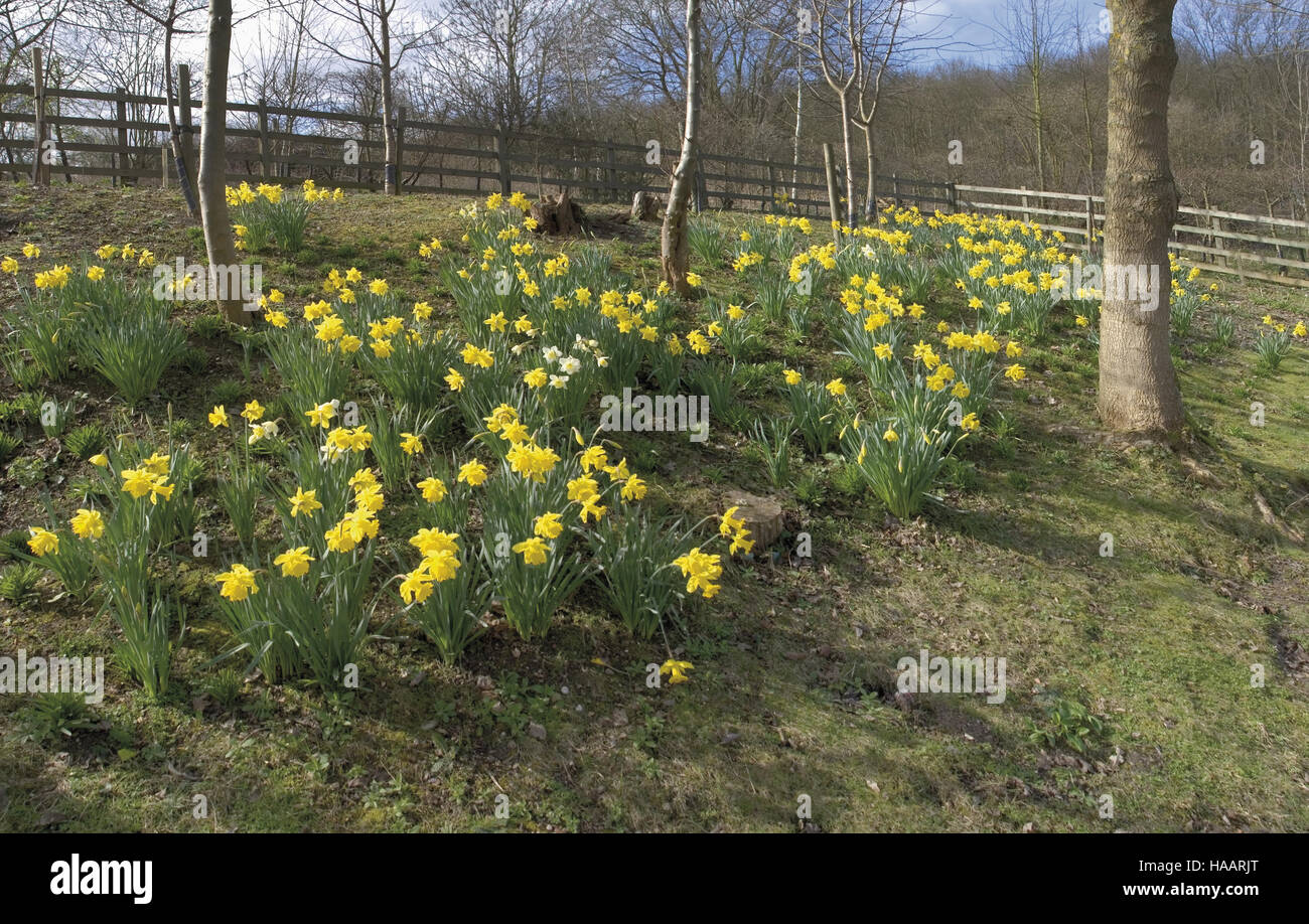 countryside, england, english, landscape, footpath, uk, district, rural ...