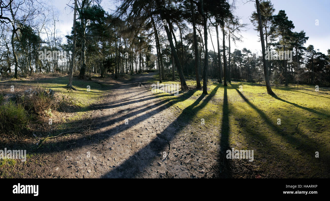 countryside, england, english, landscape, footpath, uk, district, rural ...