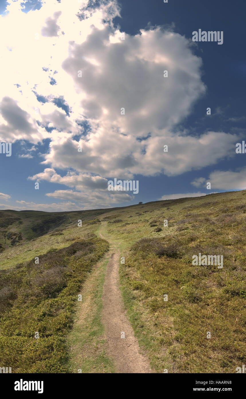 countryside, uk, footpath, field, nature, generic, landscape, public ...