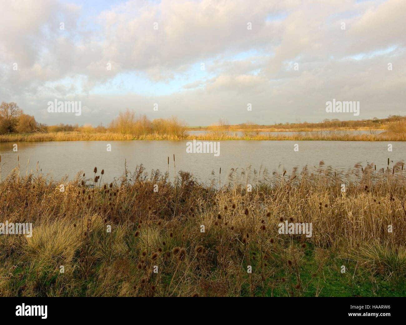 countryside, uk, footpath, field, nature, generic, landscape, public ...