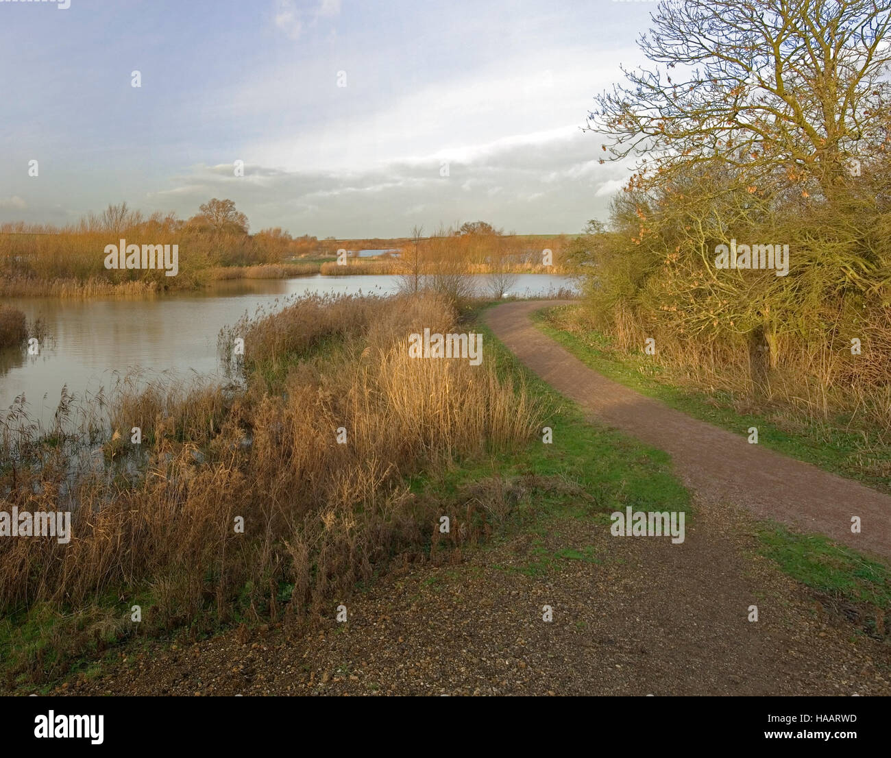 countryside, uk, footpath, field, nature, generic, landscape, public ...