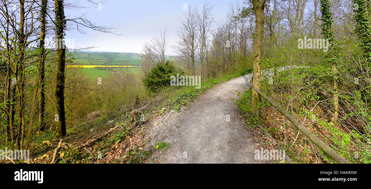 countryside, uk, footpath, field, nature, generic, landscape, public ...