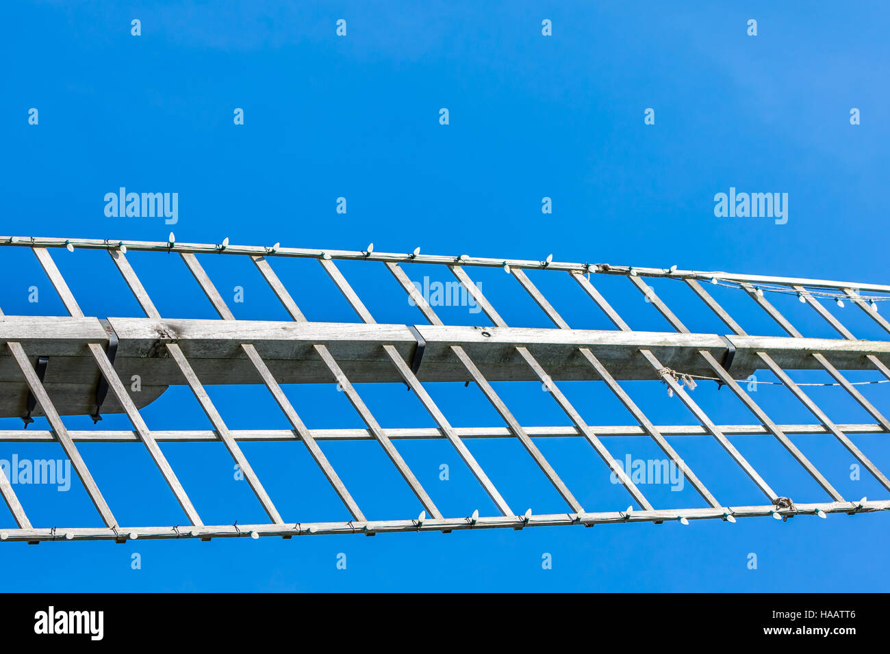 Blade of corn hi-res stock photography and images - Alamy