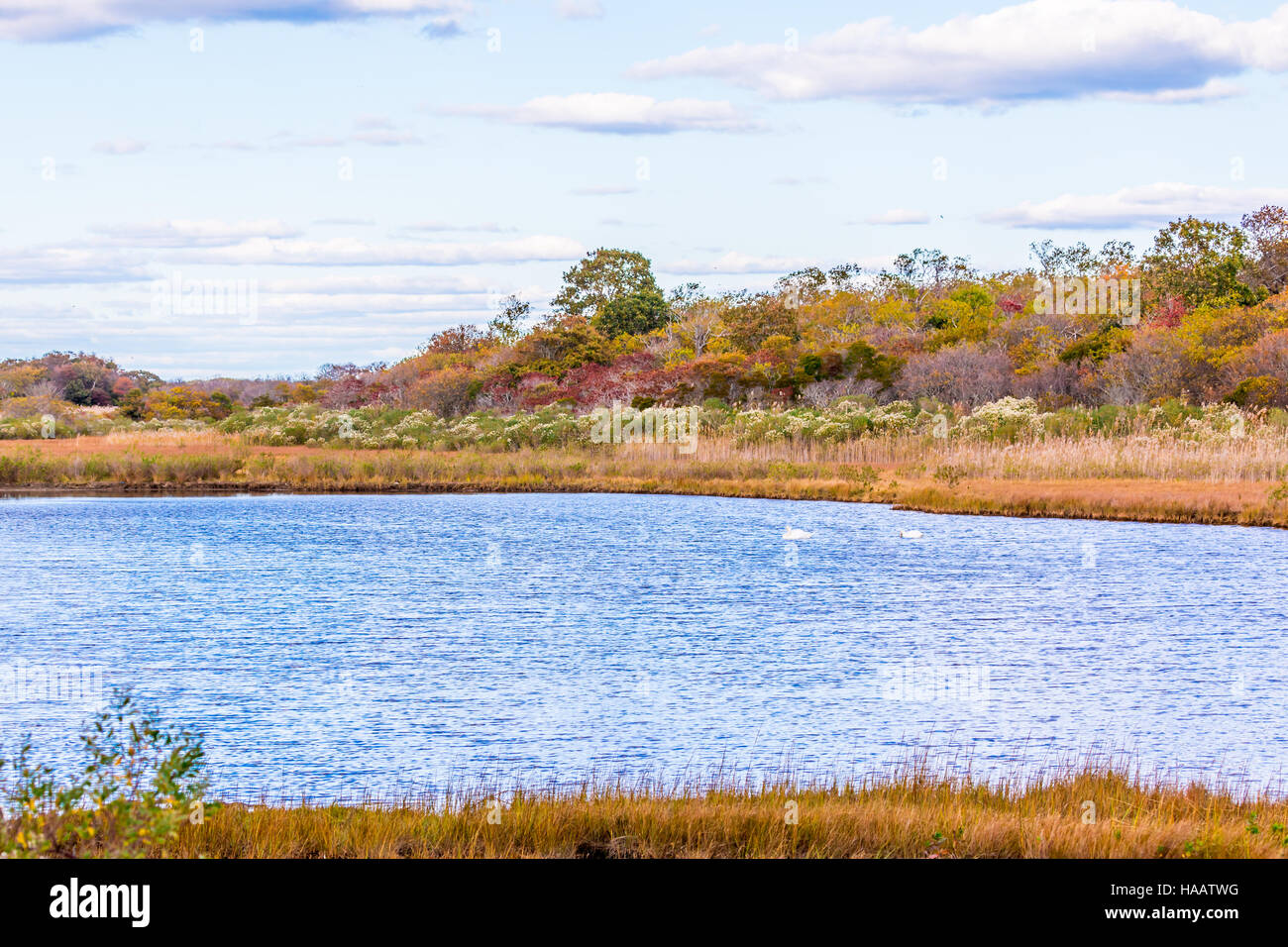 Undeveloped hi-res stock photography and images - Alamy