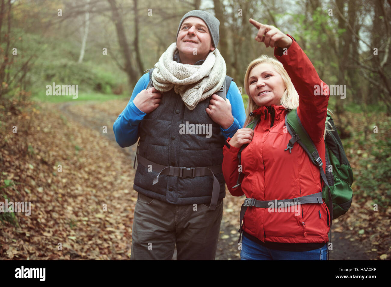 Showing interesting point in the forest Stock Photo - Alamy