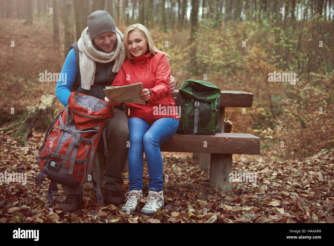 Short break on bench in the forest Stock Photo - Alamy