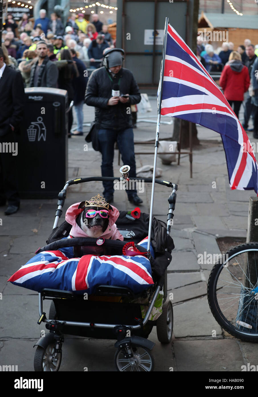 Princess Cleo the dog who came to watch the royal party outside a ...