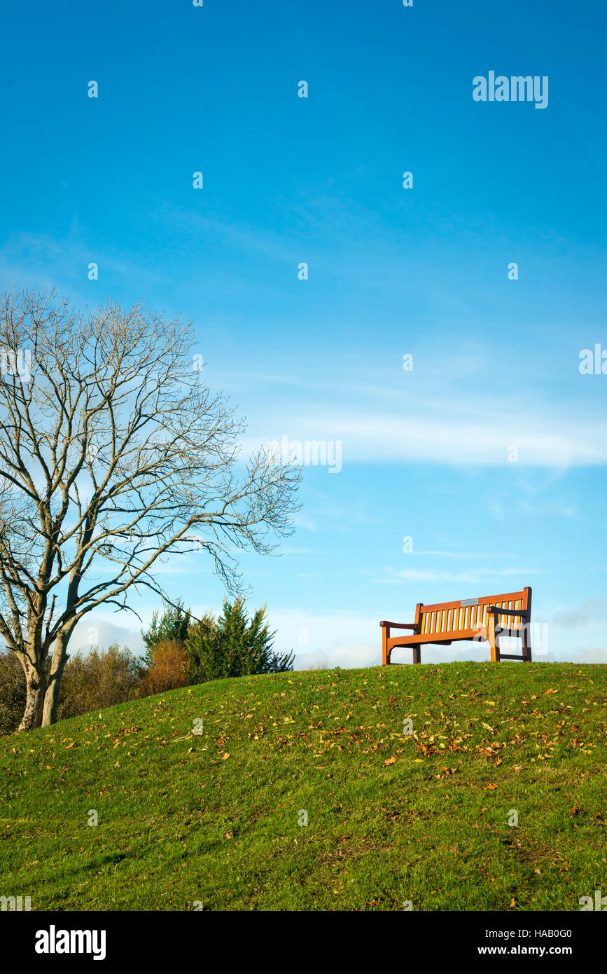 Autumn view of lone bench in park against blue sky on bright sunny ...