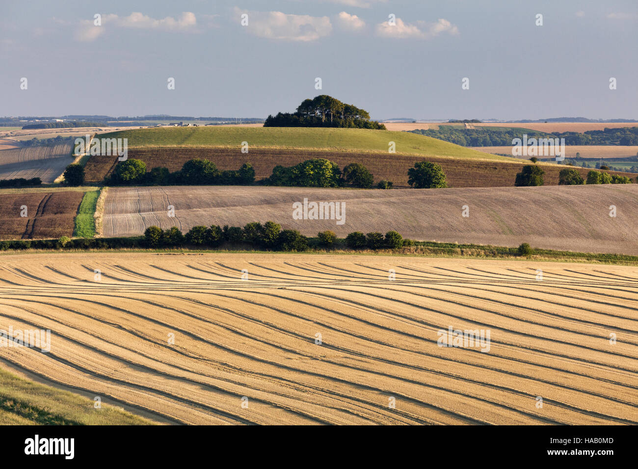 Geometric stripes making the fields on Pewsey Downs look like corduroy ...