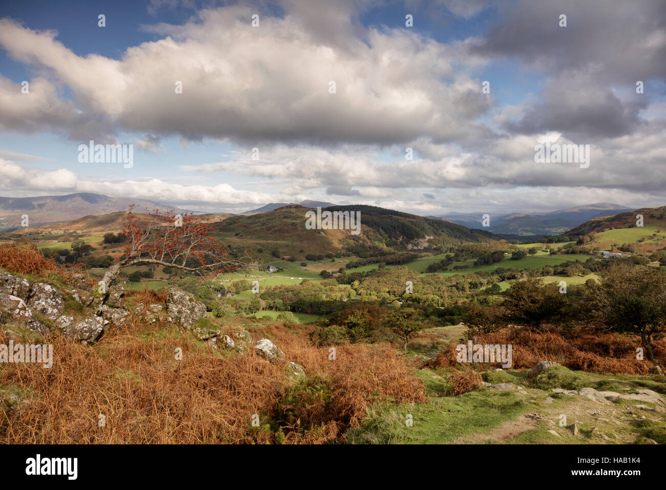 Pony path view hi-res stock photography and images - Alamy